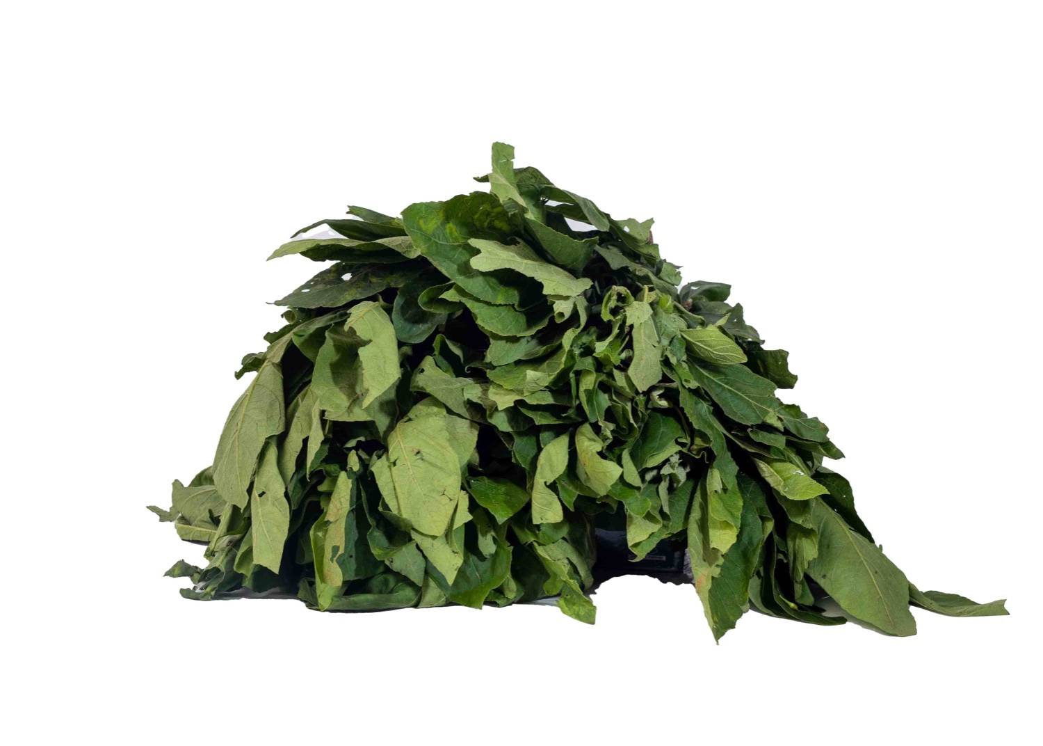 Bitter Leaf | Pricepally