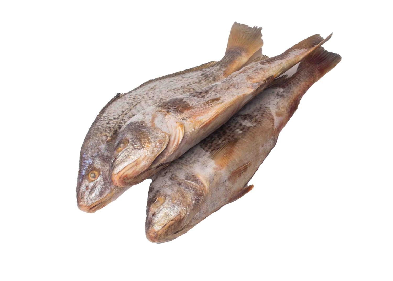 Fish - Croaker | Pricepally