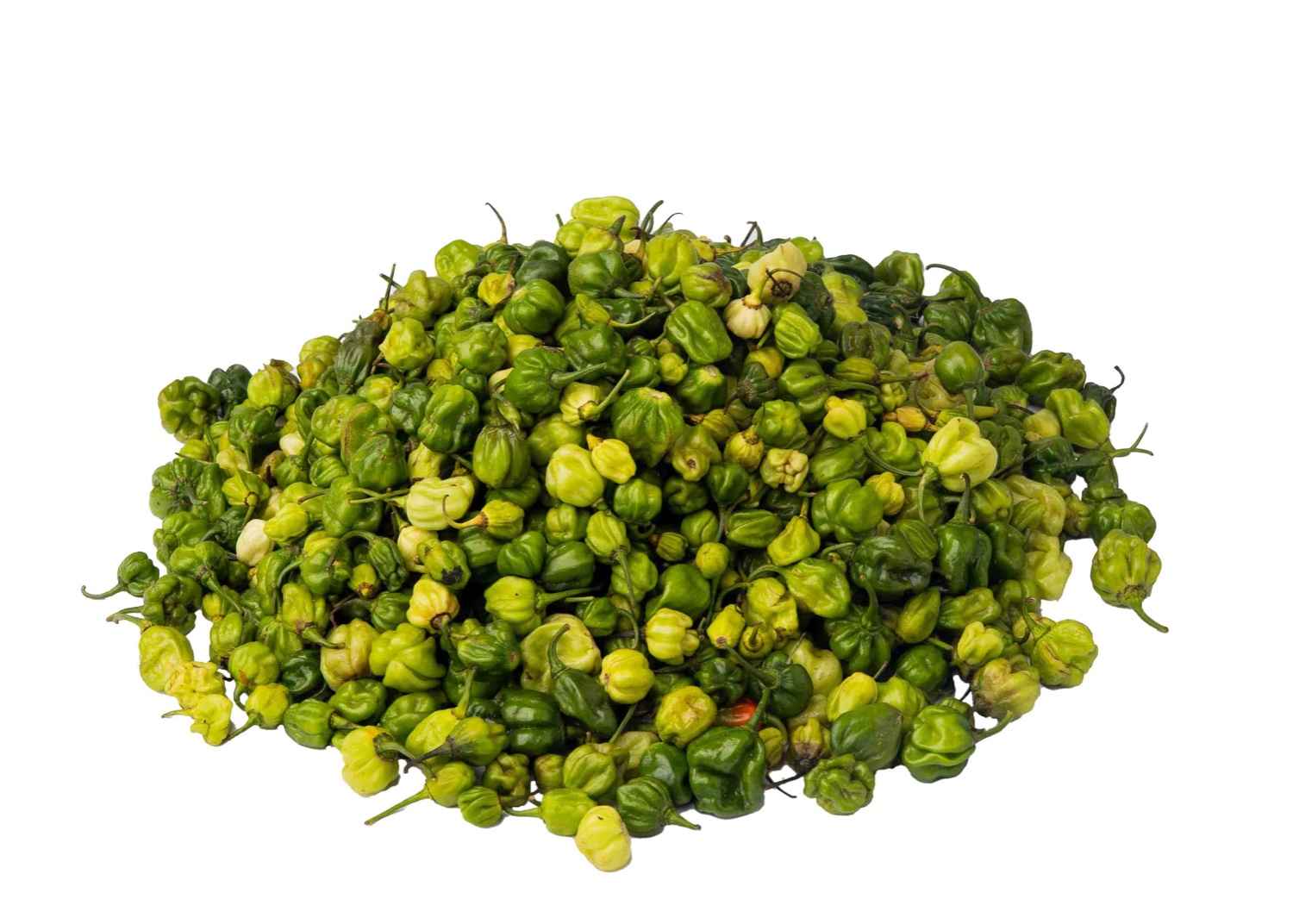 Green Ata Rodo | Pricepally