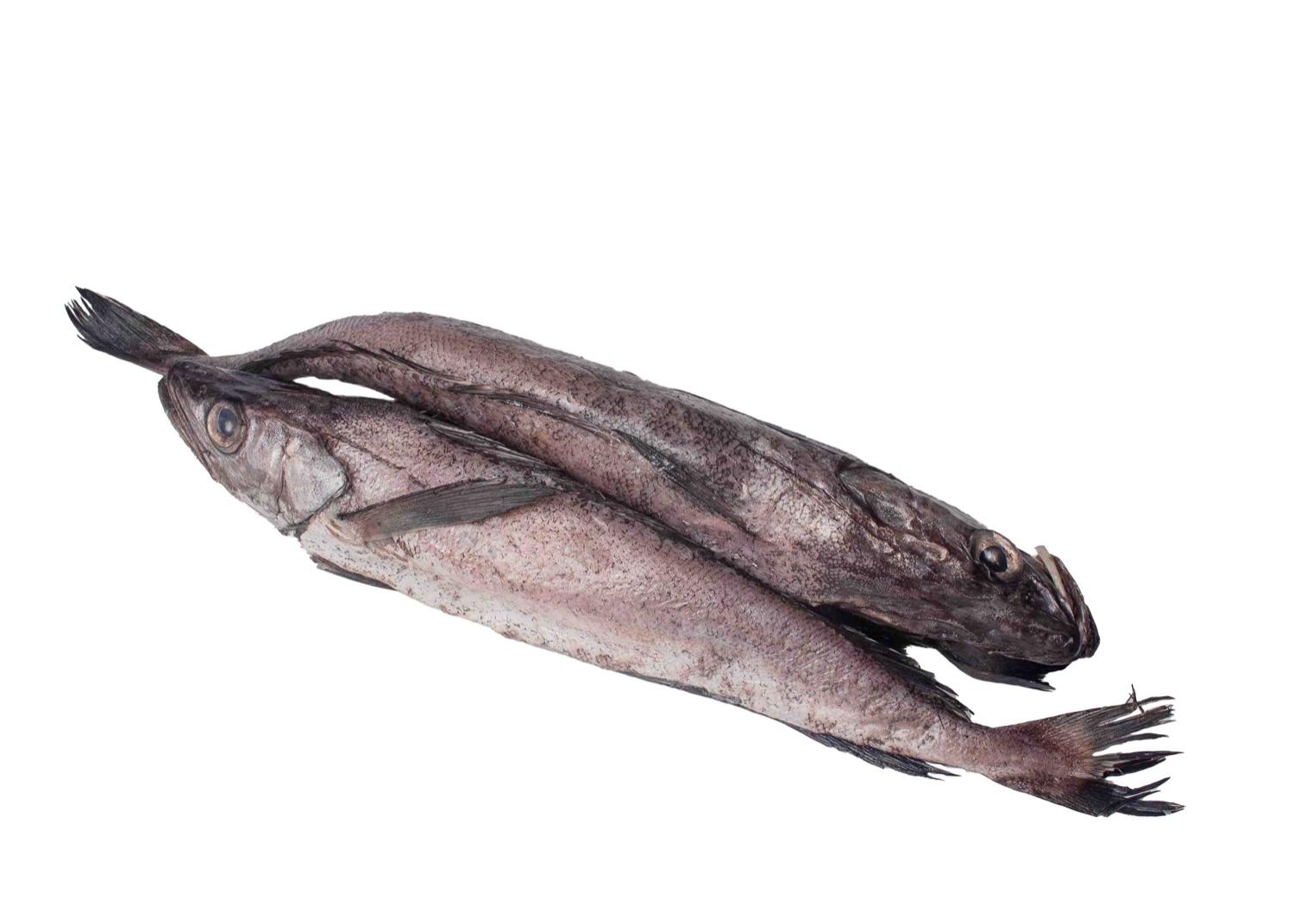 Fish - Hake | Pricepally