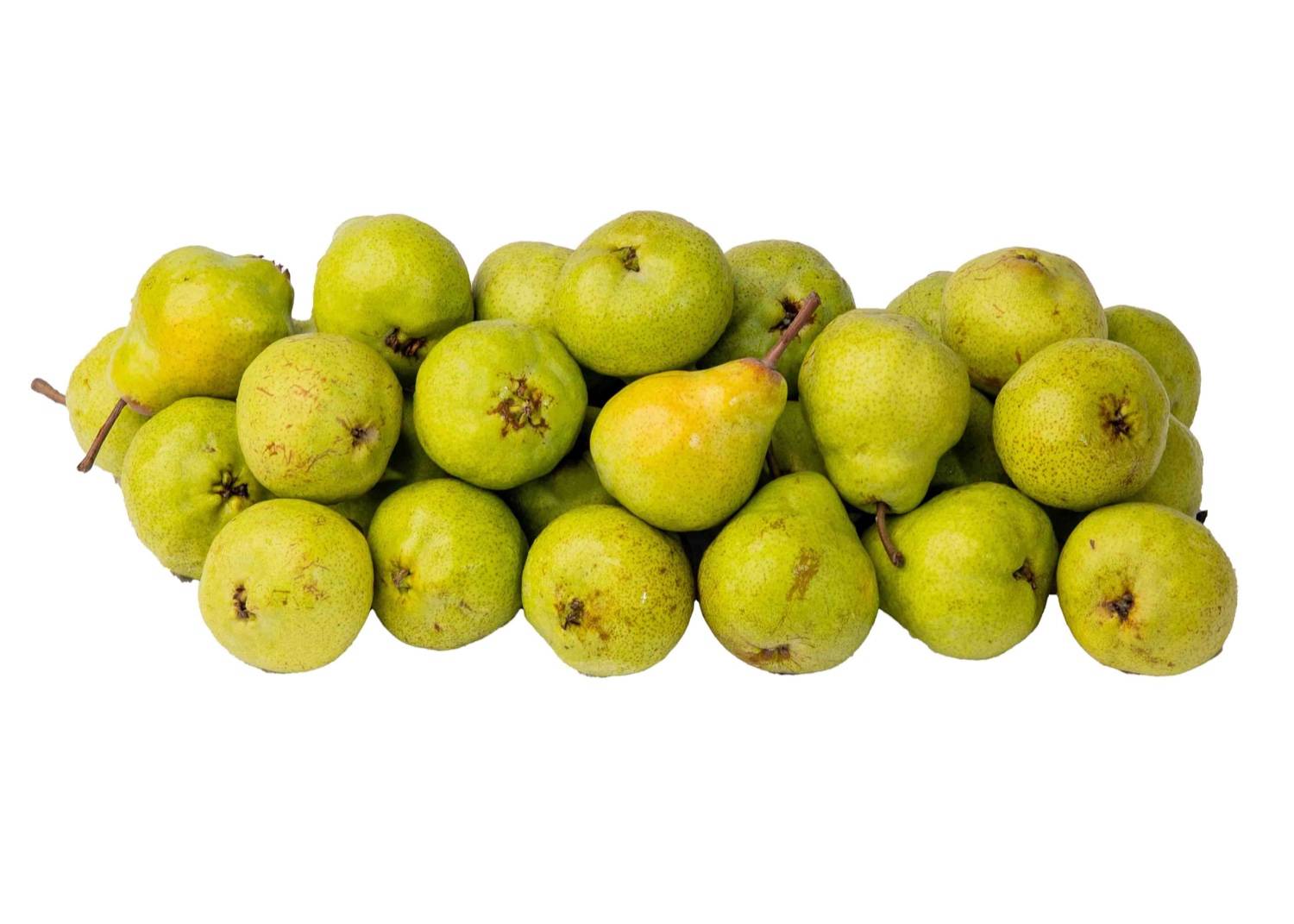 Pear - English | Pricepally